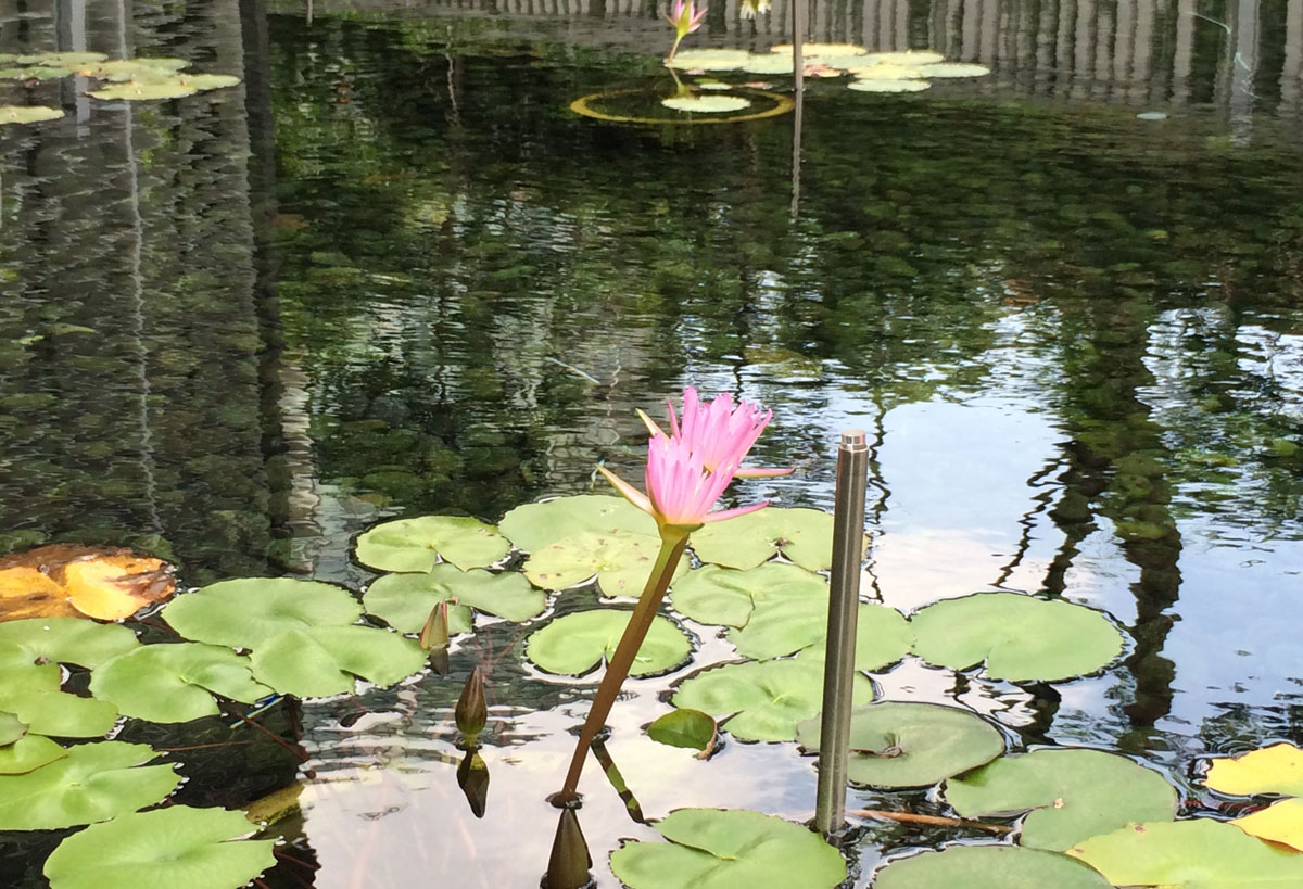 Bio-Ponds : Hitachi Aqua-Tech Engineering Pte Ltd