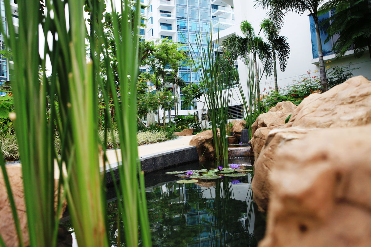 Bio-Ponds : Hitachi Aqua-Tech Engineering Pte Ltd